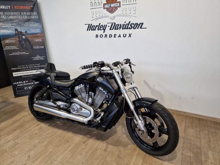 Harley Davidson Vrod Occasion